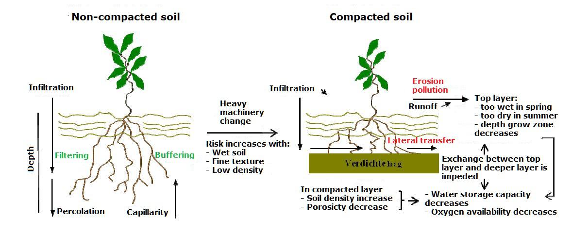 Soil as a buffer | STOWA