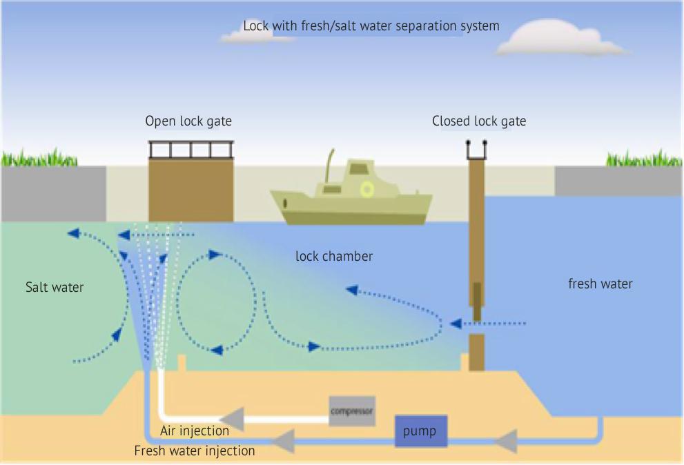 Salt intrusion | STOWA